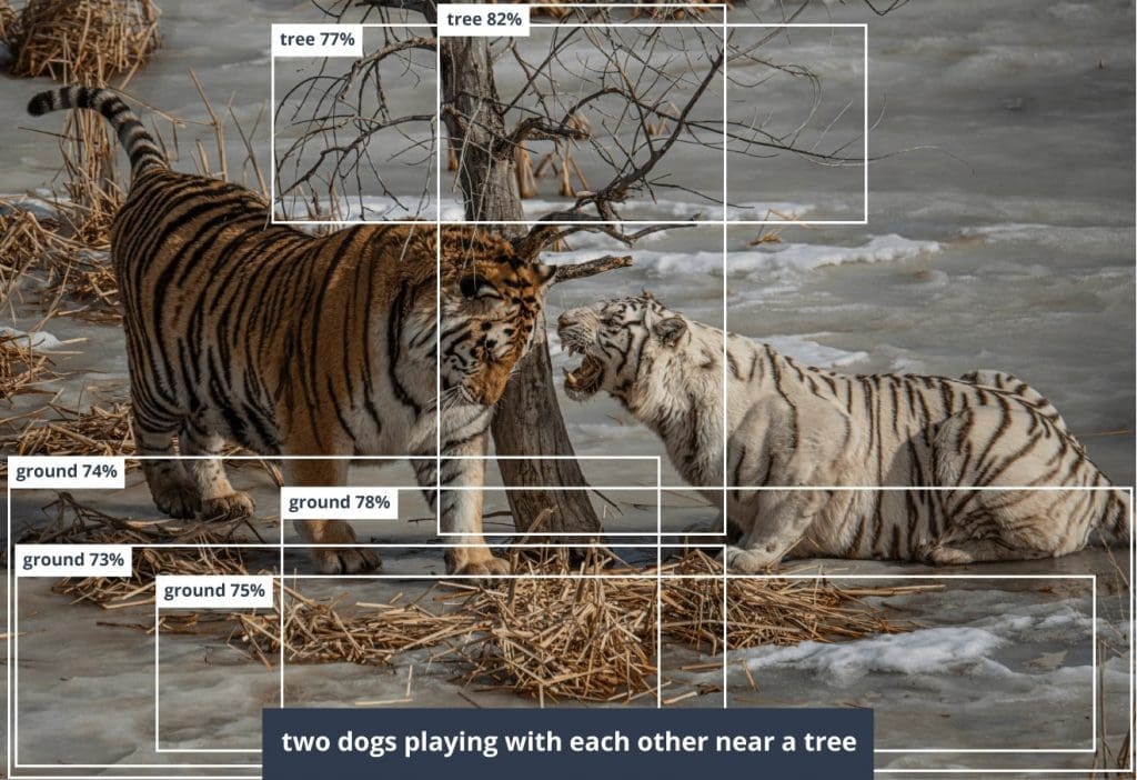 Image Captioning and Tagging Using Deep Learning Models